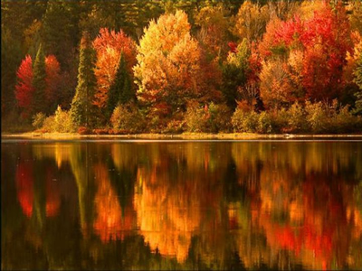 Fall color hotline reveals the best leaf-peeping locations - Good Sam ...