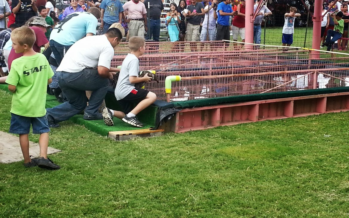 Thousands Flock to the Great American Duck Race in Deming! - Good Sam ...