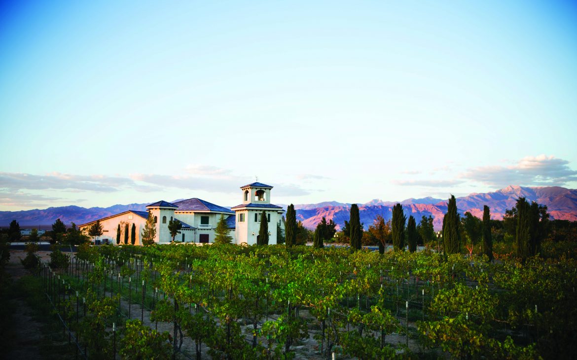 Top 10 Reasons to Visit Pahrump Nevada - Good Sam Camping Blog