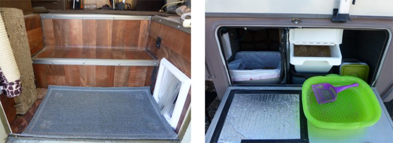 RV pet care for cats. People used to think cats can't make good RVers.