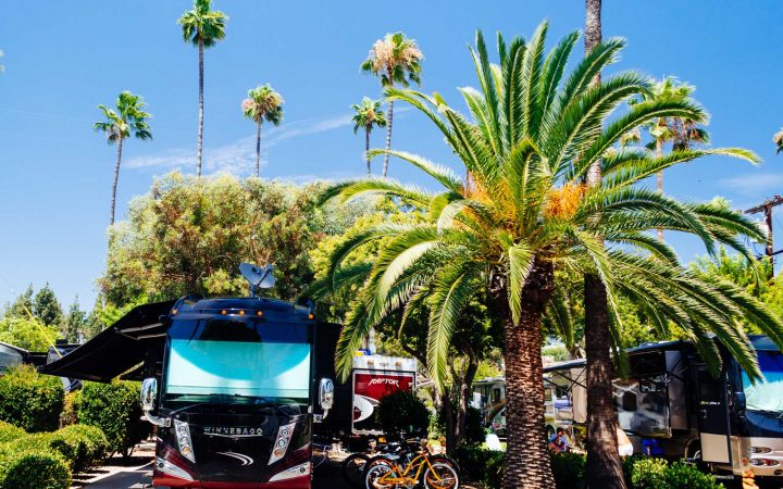 RV San Diego – your getaway starts at San Diego RV Resort.