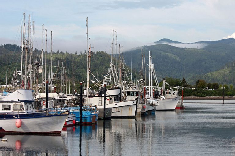 Go RV beach combing on your trip to Oregon's north coast.