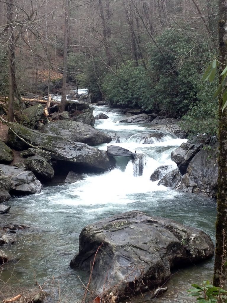 Good Sam Members Can Save Big | Good Sam Parks | Good Sam