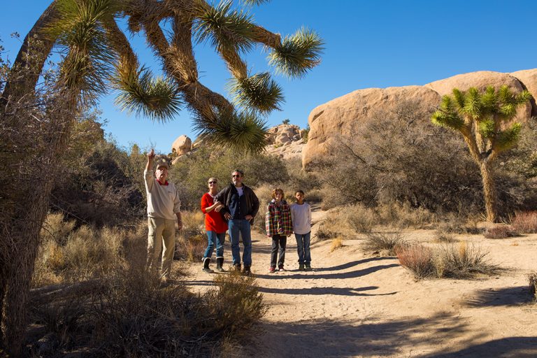 Wild Winter Camping | Playgrounds for Wild Winter Fun | Good Sam