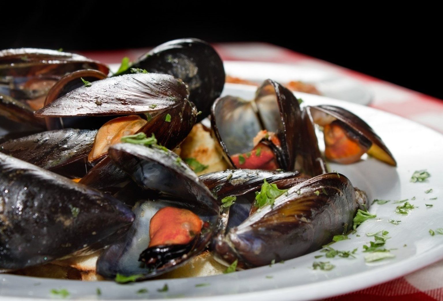 Florida Keys Cuisine | Dock to Dish Flavors on the Island | Good Sam