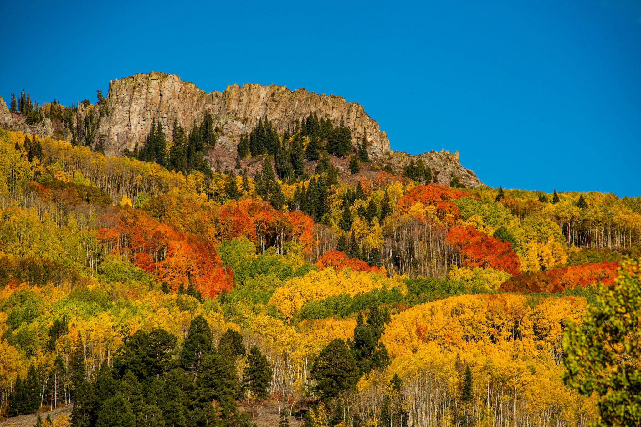Colorado's Gold Makes it Tops Among Fall Color Destinations | Good Sam