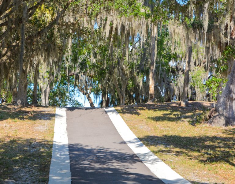 Embark on scenic beach biking trails in Southern Florida | Good Sam