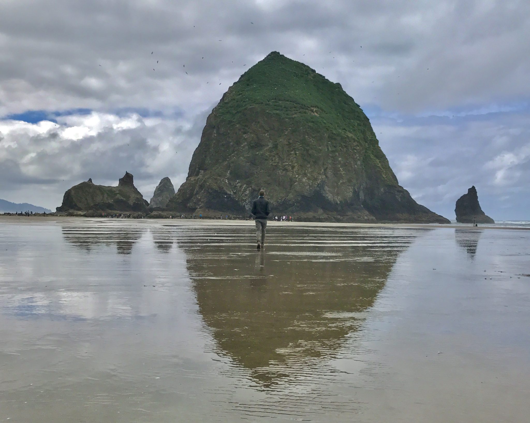 The Gorgeous Oregon Coastline Is a Beachcomber's Paradise | Good Sam