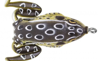 The 6 Best Topwater Frogs for Hot Summer Fishing | Good Sam
