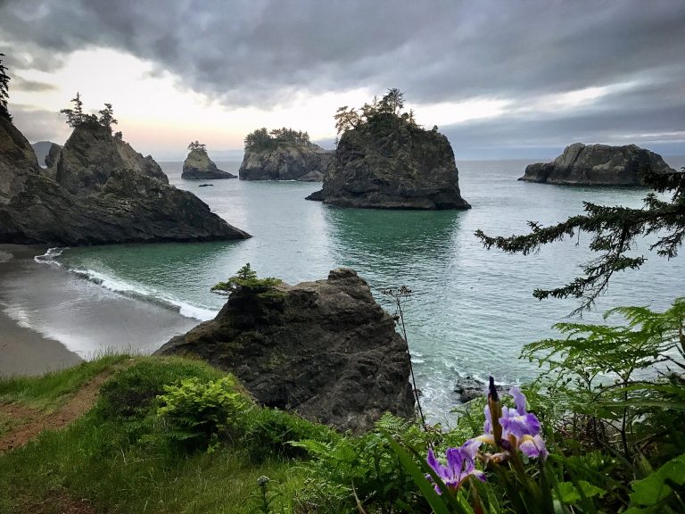 The Gorgeous Oregon Coastline Is a Beachcomber's Paradise | Good Sam