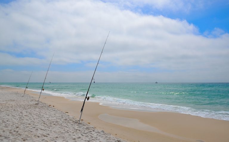 Surf Fishing | Angling on the Coast | Good Sam Camping