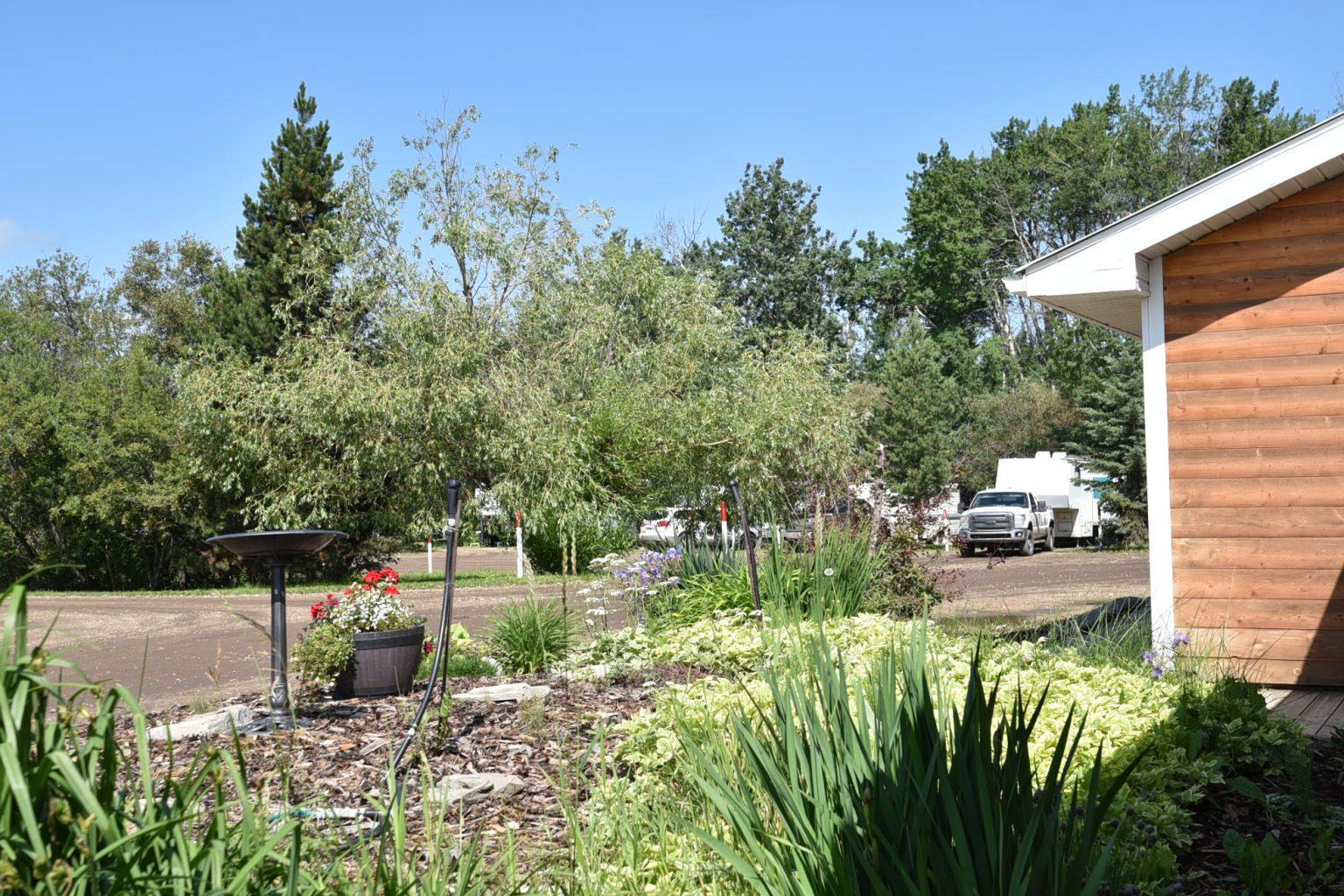 Country Roads RV Park | Alberta Rustic Camping | Good Sam Camping