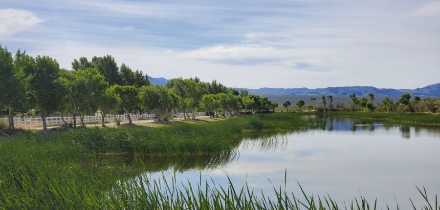 Southern Florida Living at its Best at Riverside RV Resort - Good Sam ...