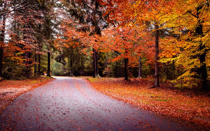 Fall Camping Spots to See Fall Colors - Good Sam Camping Blog